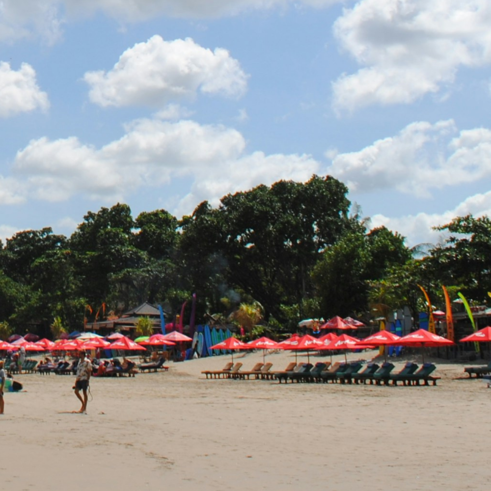 Blog - The Layar
